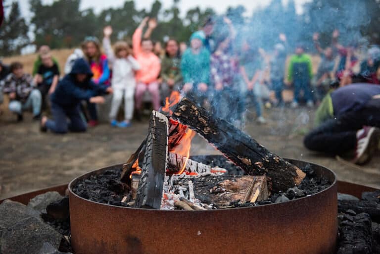 School + Community Programs