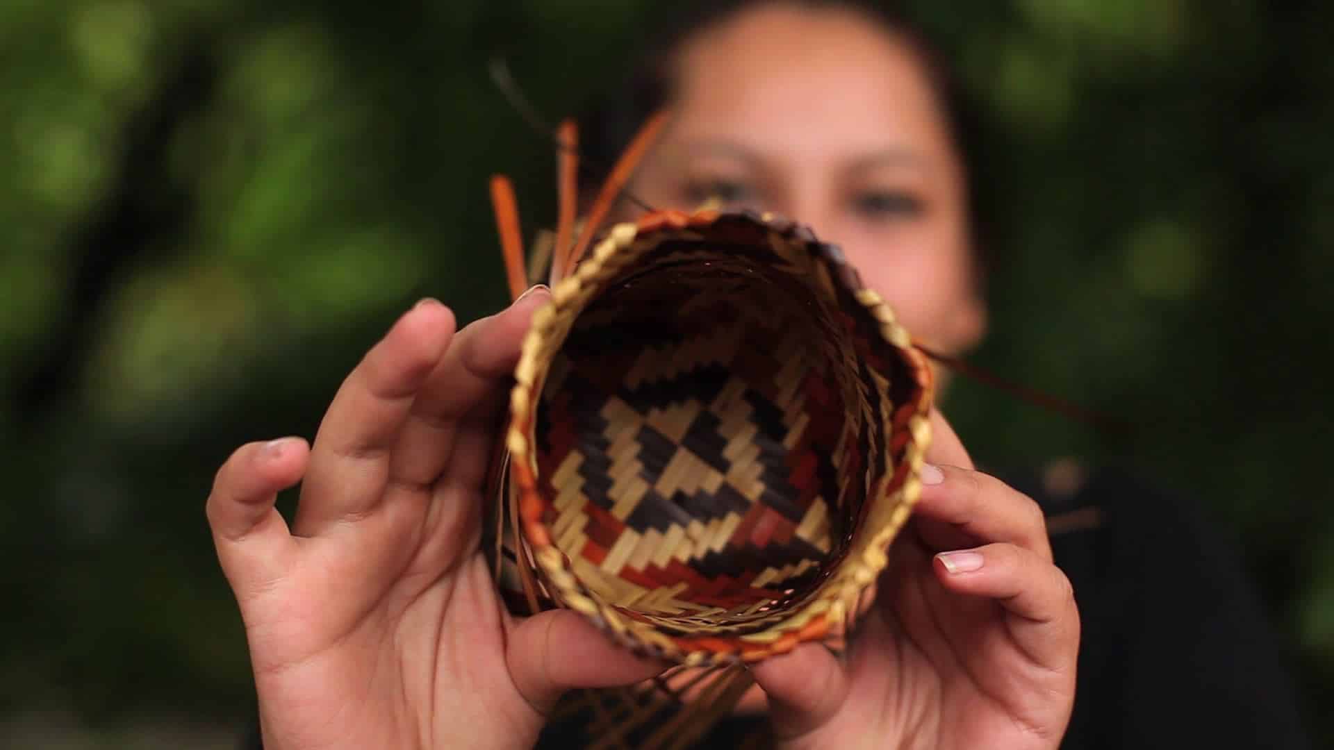 Roots of Wisdom - Oregon Museum of Science and Industry