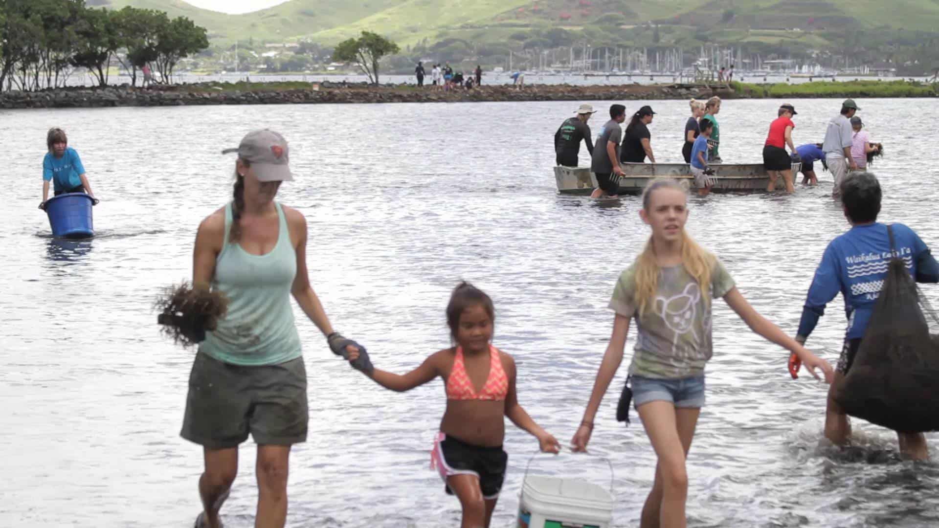 Restoring Fish Ponds | OMSI
