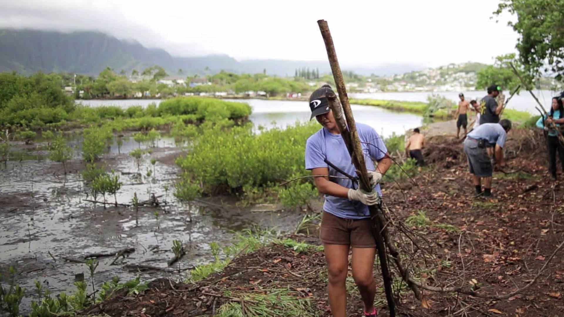 Restoring Fish Ponds - Oregon Museum of Science and Industry