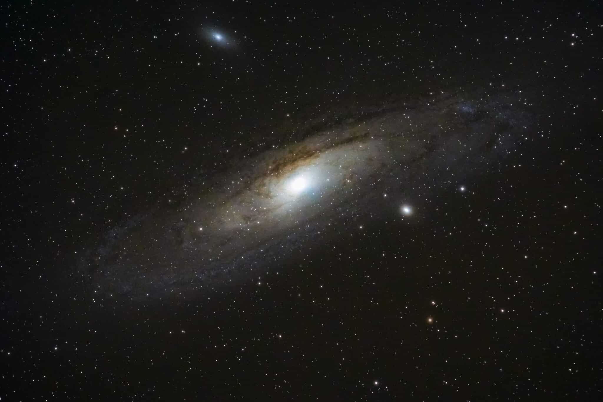 Exploring Life in Space | OMSI