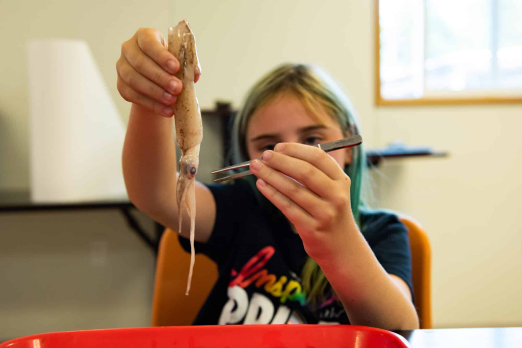 Visiting Camp Gray Soon? | OMSI