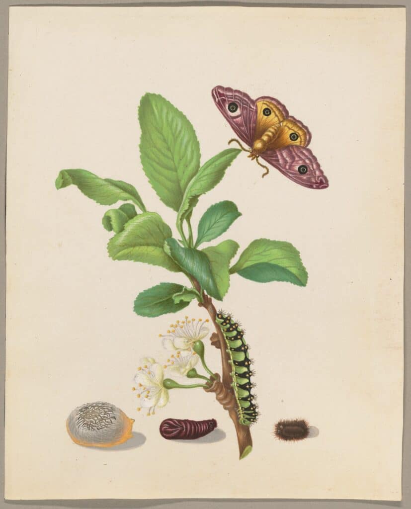 Exquisite Creatures: The Human-Creature Connection | OMSI
