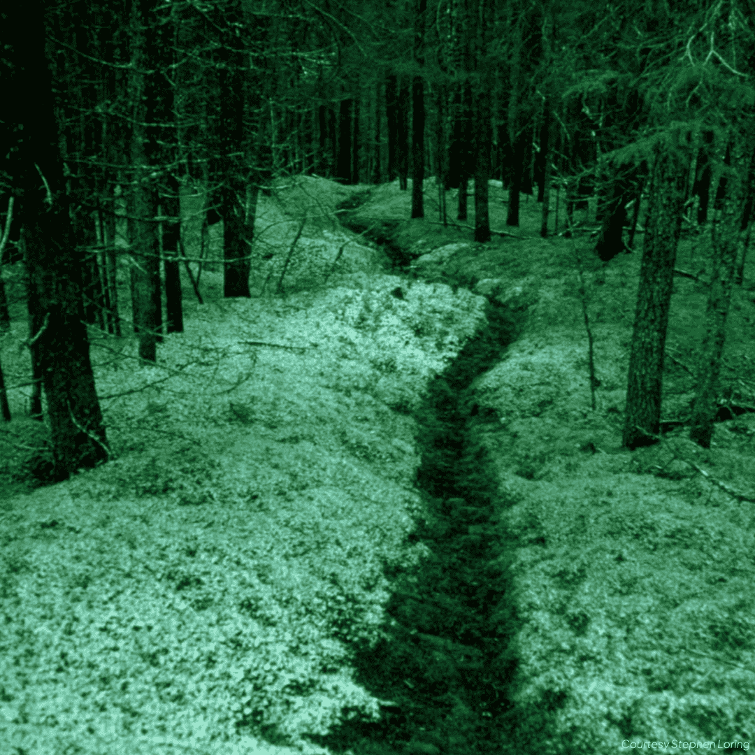 Be So Bor-Eal: ITEK and Boreal Forests | OMSI