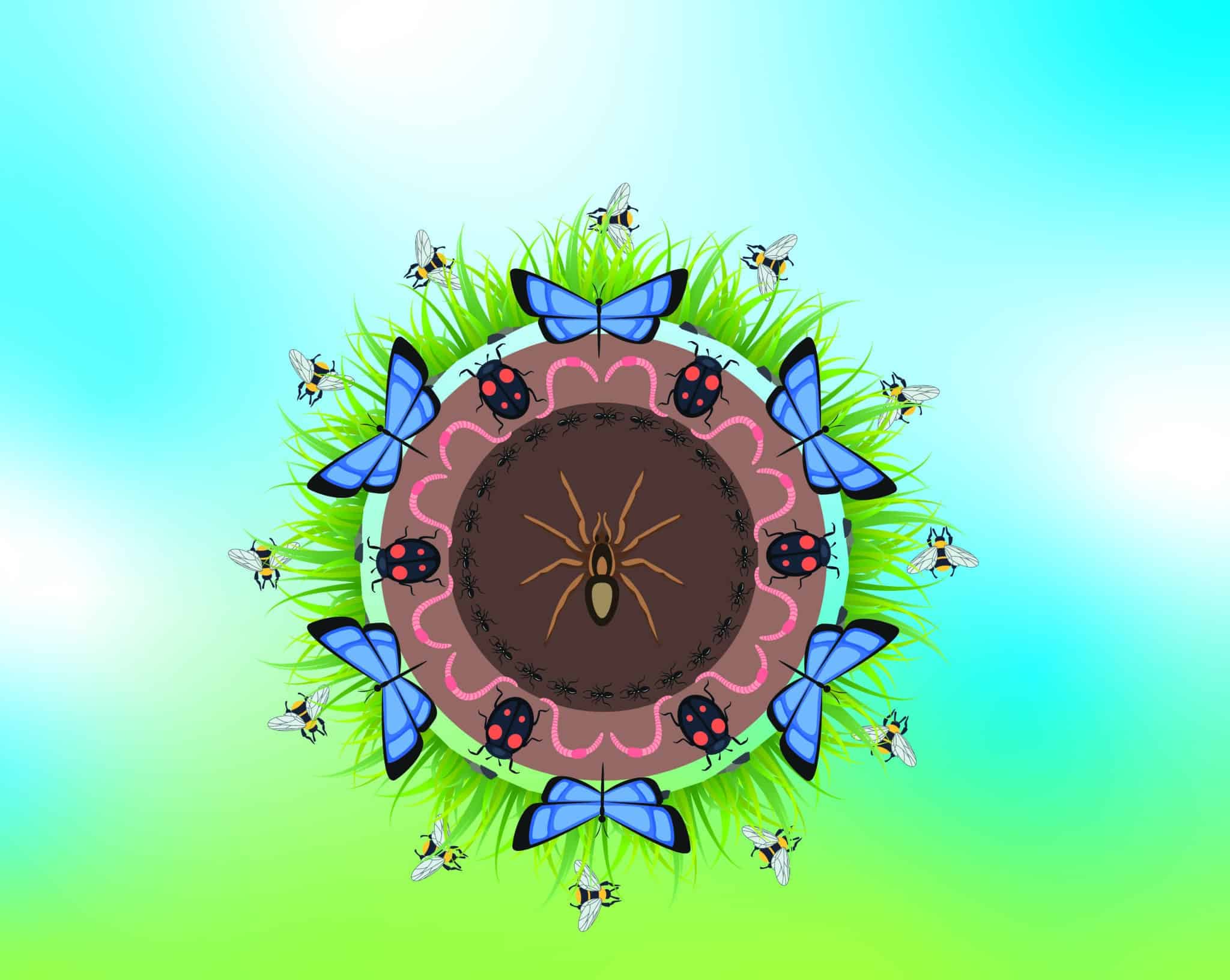 Exquisite Creatures: The Human-Creature Connection | OMSI