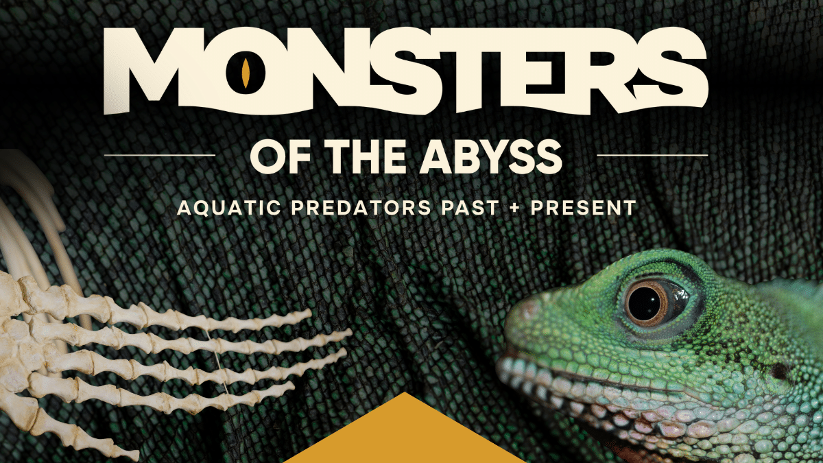 Monsters of the Abyss | OMSI
